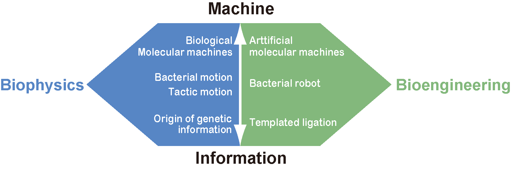 Research – Biophysics and Bioengineering Lab